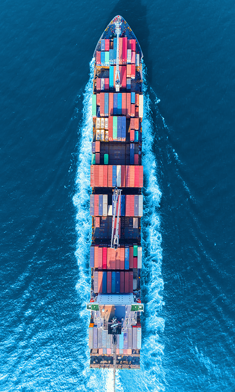 Transport rutier internaţional | Delamode Romania